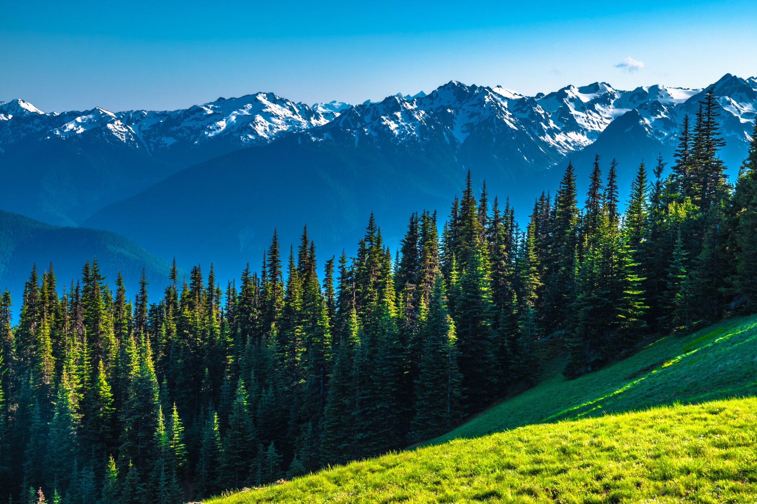 Rural Escapes Archives - Tripmasters Travel
