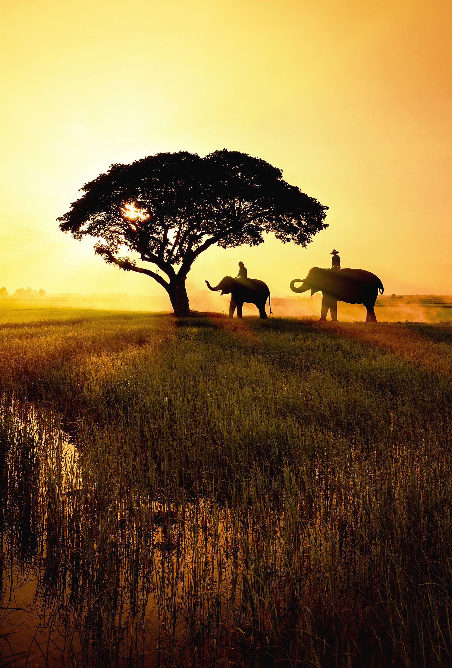 Kenya - Travel Guide - Tripmasters Travel