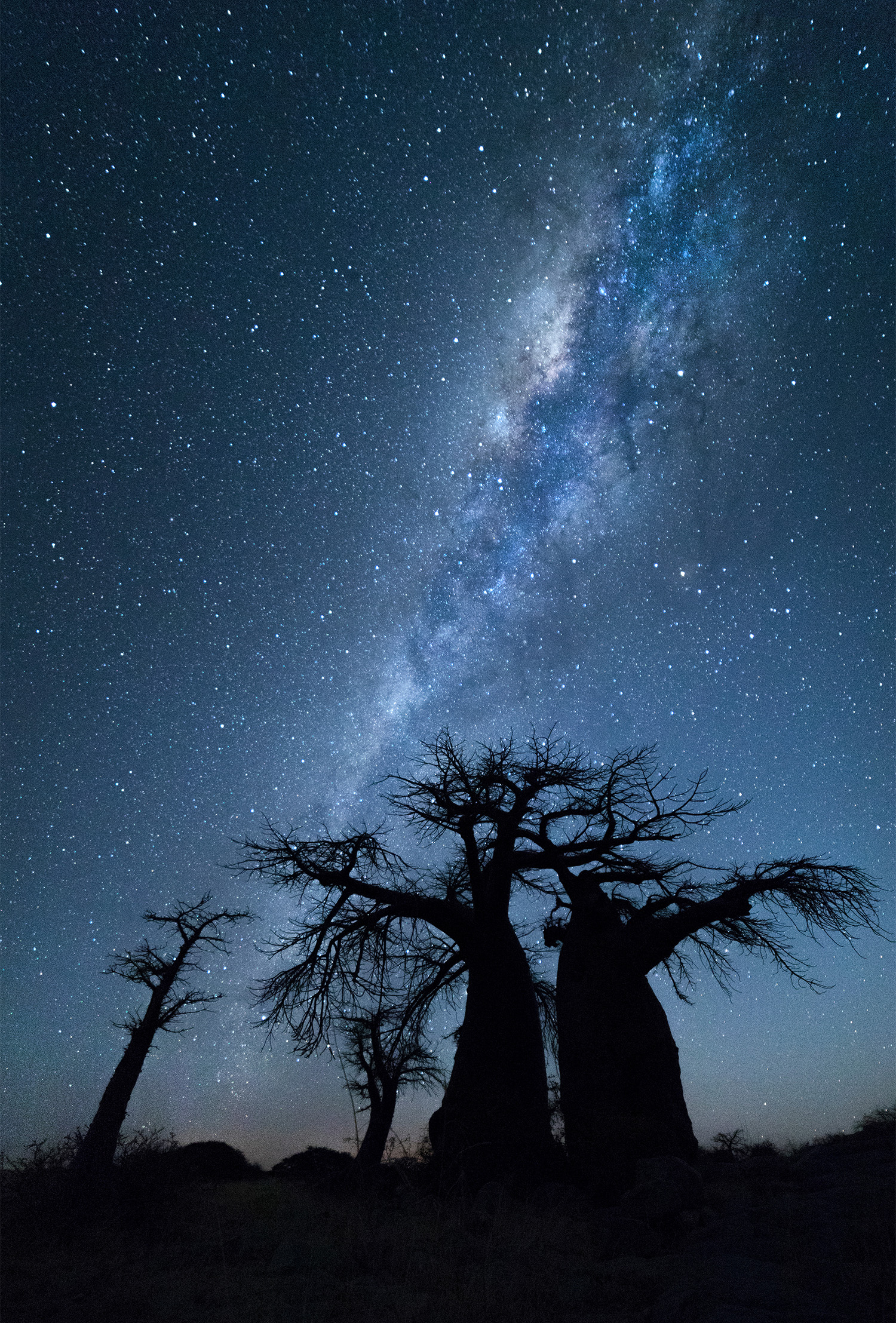 Botswana - Travel Guide - Tripmasters Travel