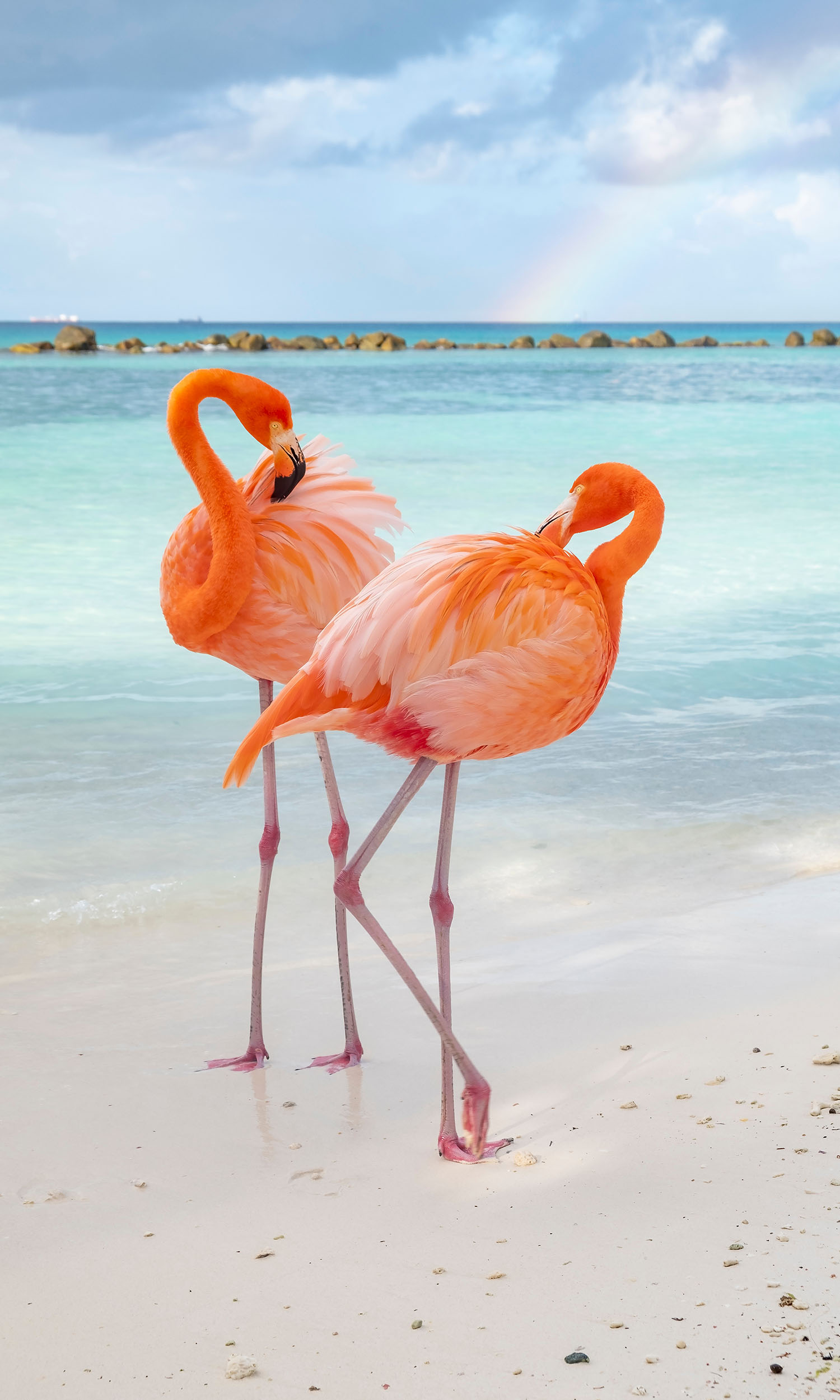 Aruba - Travel Guide - Tripmasters Travel
