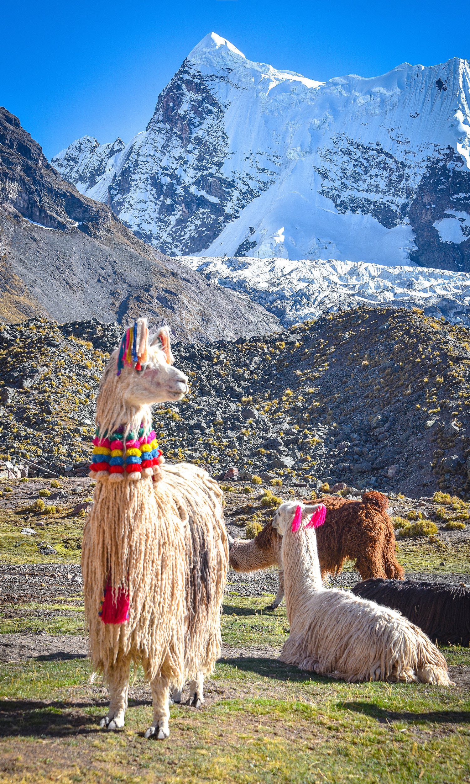 Peru - Travel Guide - Tripmasters Travel