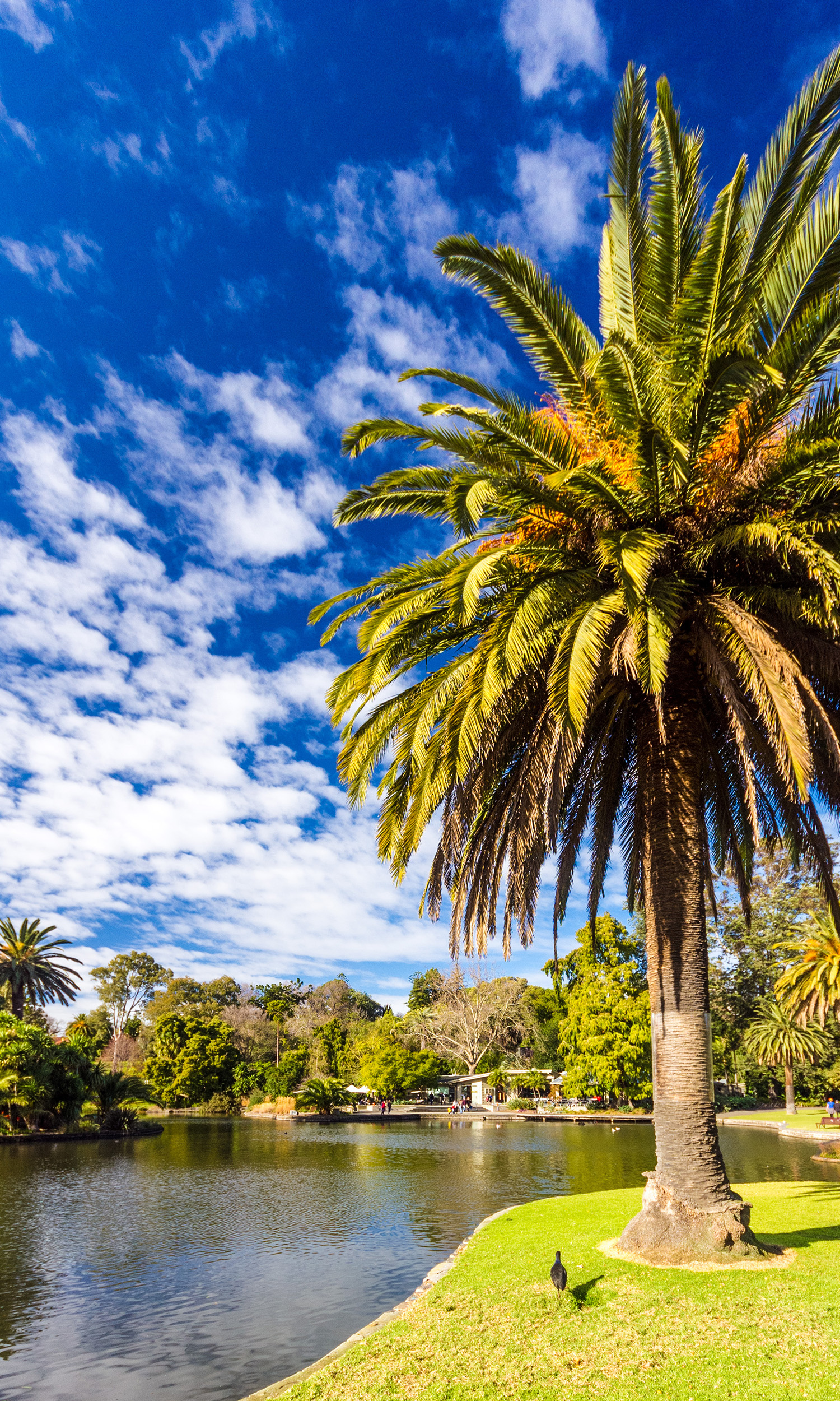 Melbourne - Travel Guide - Tripmasters Travel