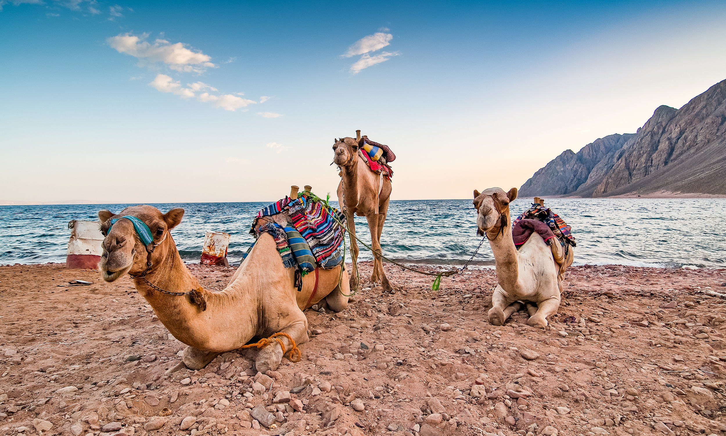 Dahab - Travel Guide - Tripmasters Travel