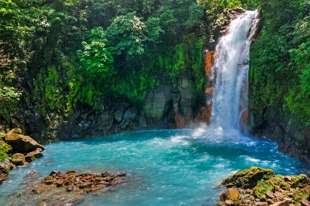 Neighborhoods - Central Volcanic Forest Reserve - Tripmasters Travel